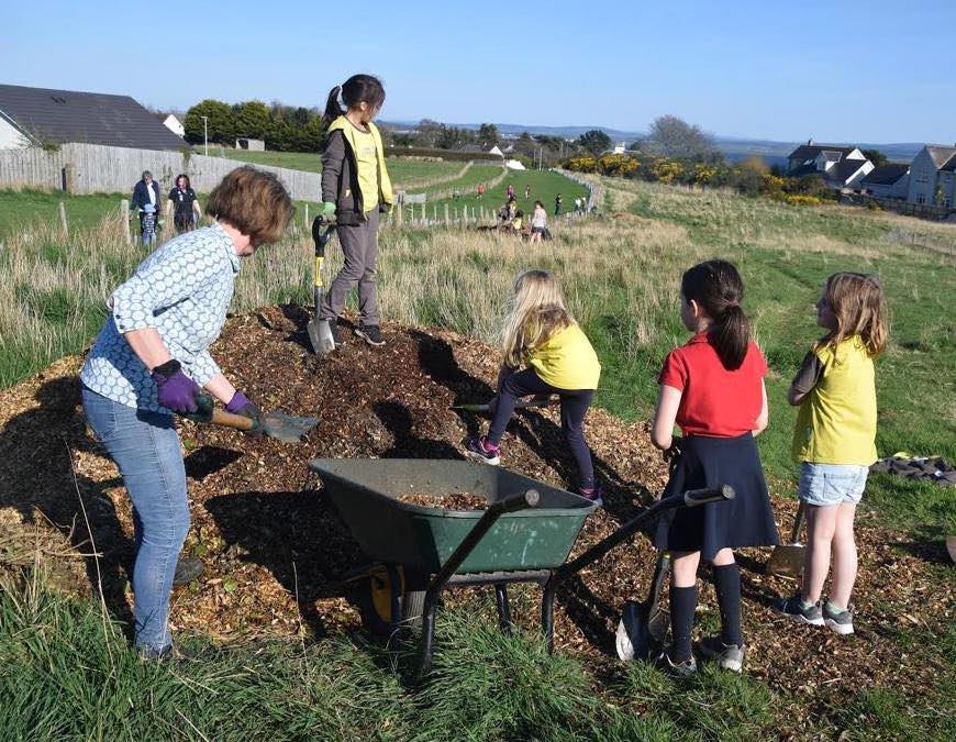 Regenerate Our Green Space | Regenerating our green spaces through ...